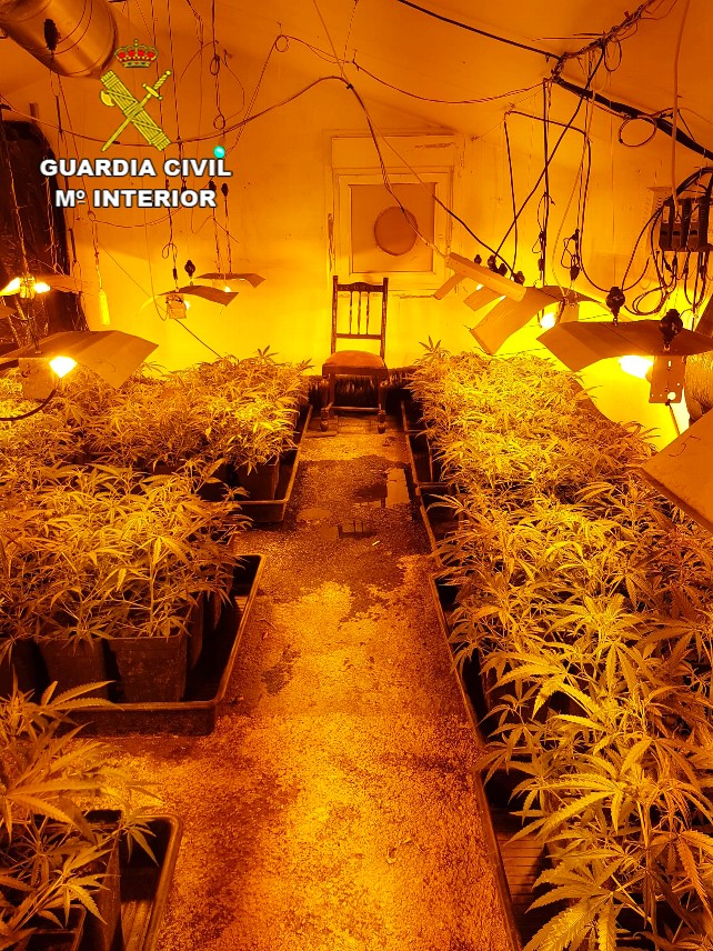 Desmantelada una plantación "indoor" de marihuana con 368 plantas