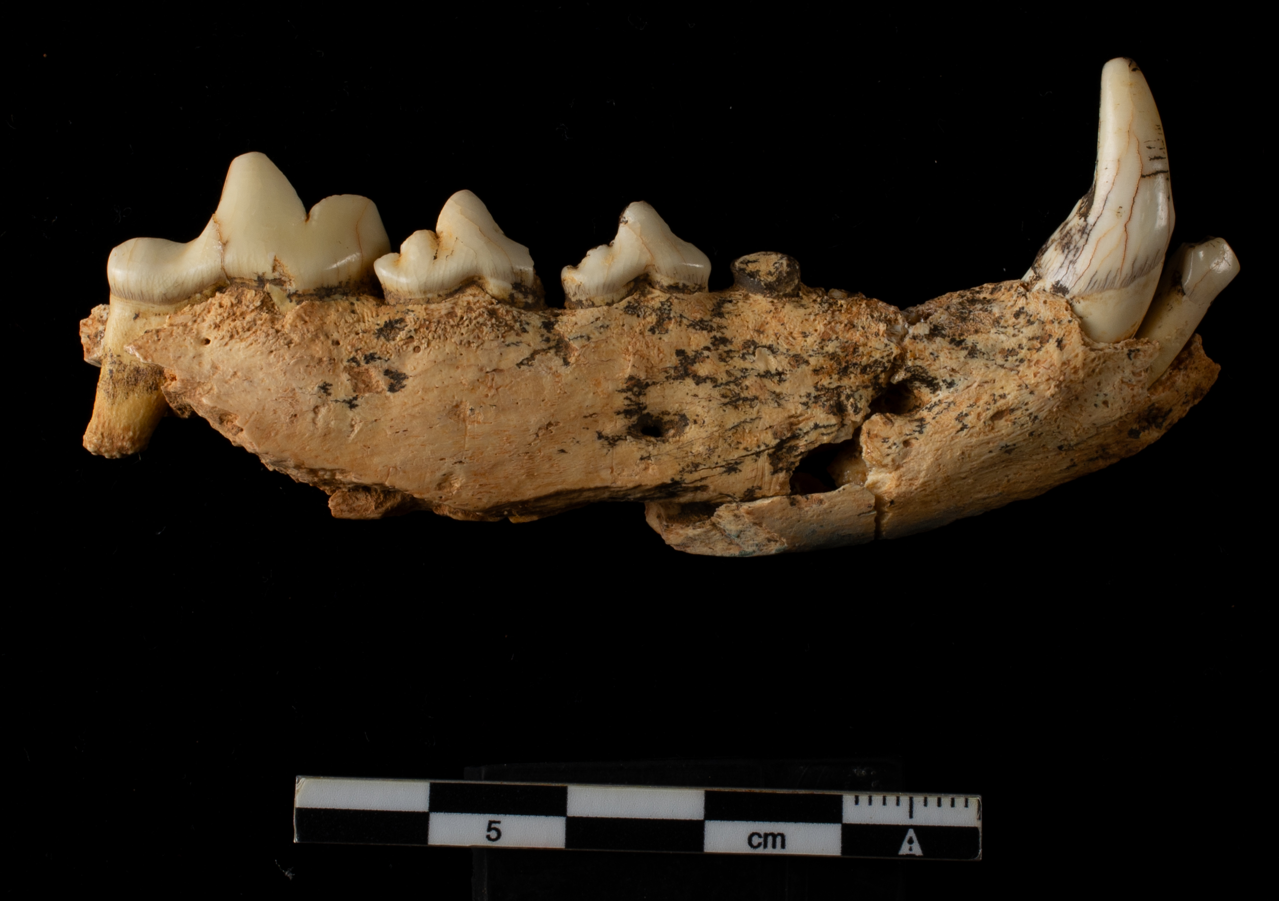 Erome gostosa dançando this TER profile profile aligned